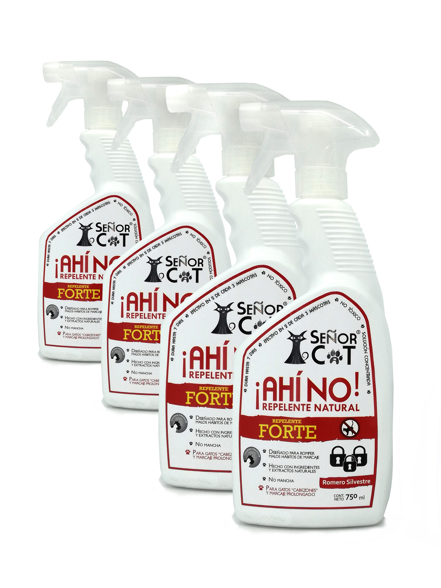 ¿Cómo ahuyentar gatos callejeros?