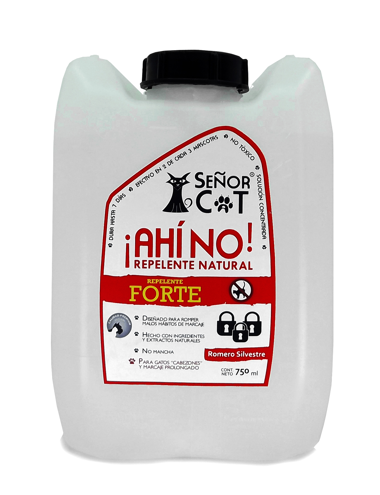 ¿Cómo ahuyentar gatos callejeros?